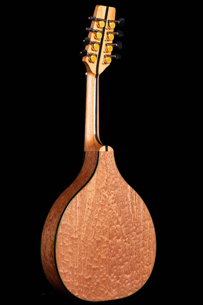 Welcome to Fylde Guitars Newsletter