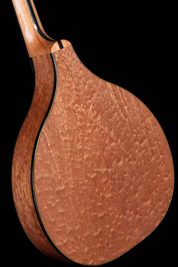 Welcome to Fylde Guitars Newsletter