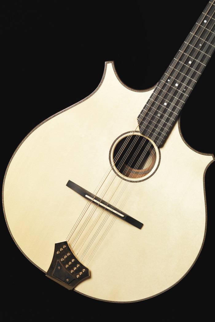 Custom Guitars | 15-string Guitar | Fylde Guitars