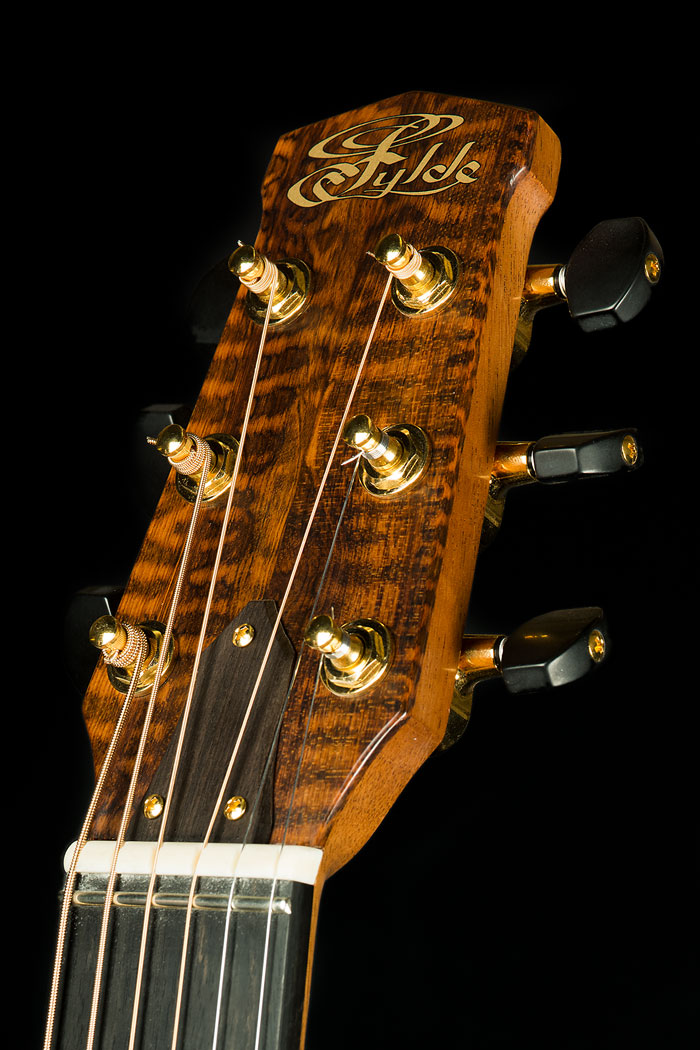 Custom Guitars | Antonio Forcione's Guitar (No1) | Fylde Guitars