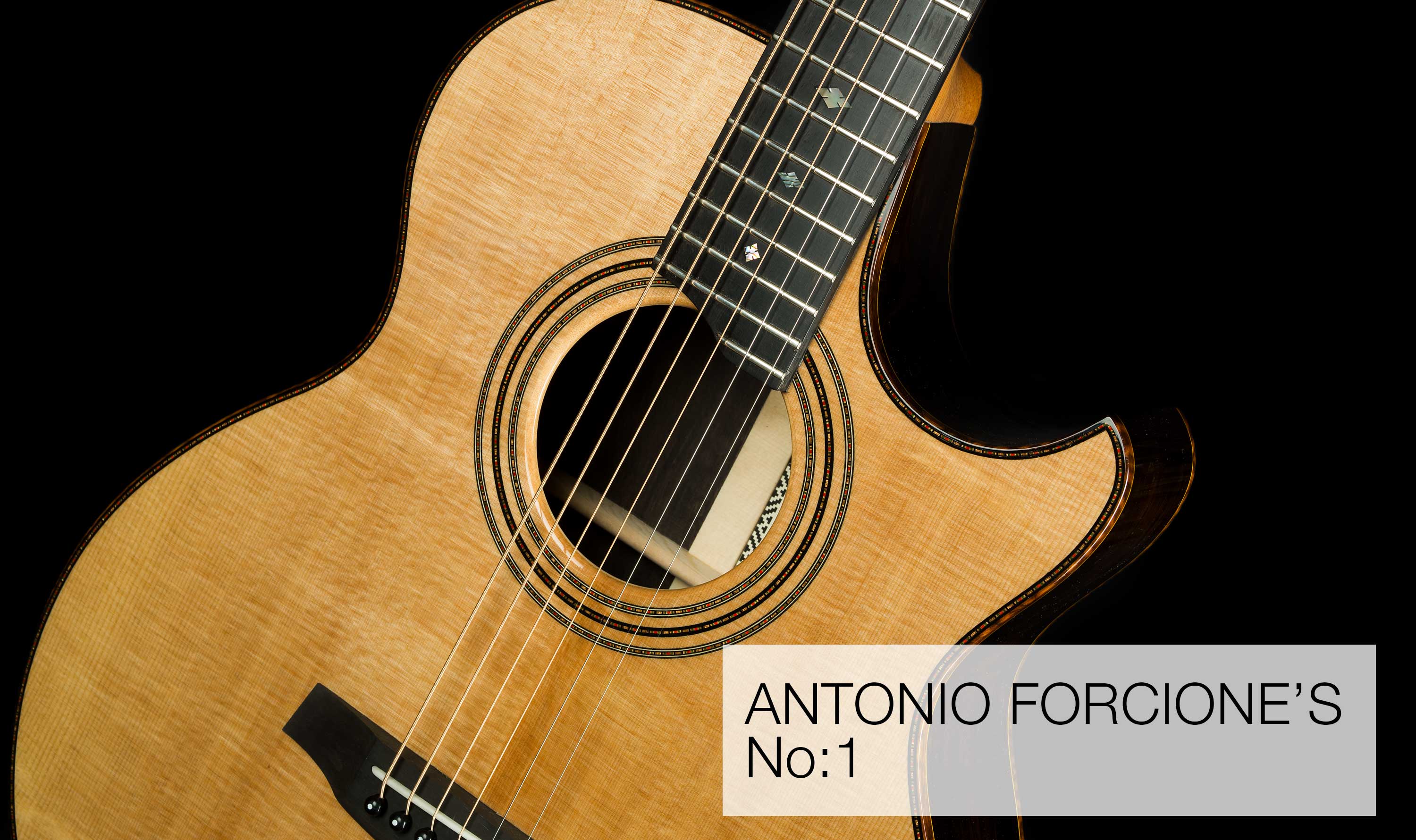 Custom Guitars | Antonio Forcione's Guitar (No1) | Fylde Guitars