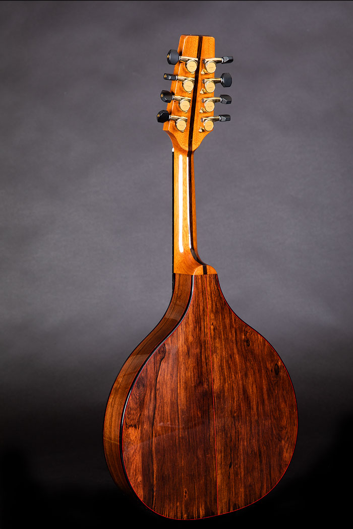 Custom Guitars | Custom Mandolin | Fylde Guitars