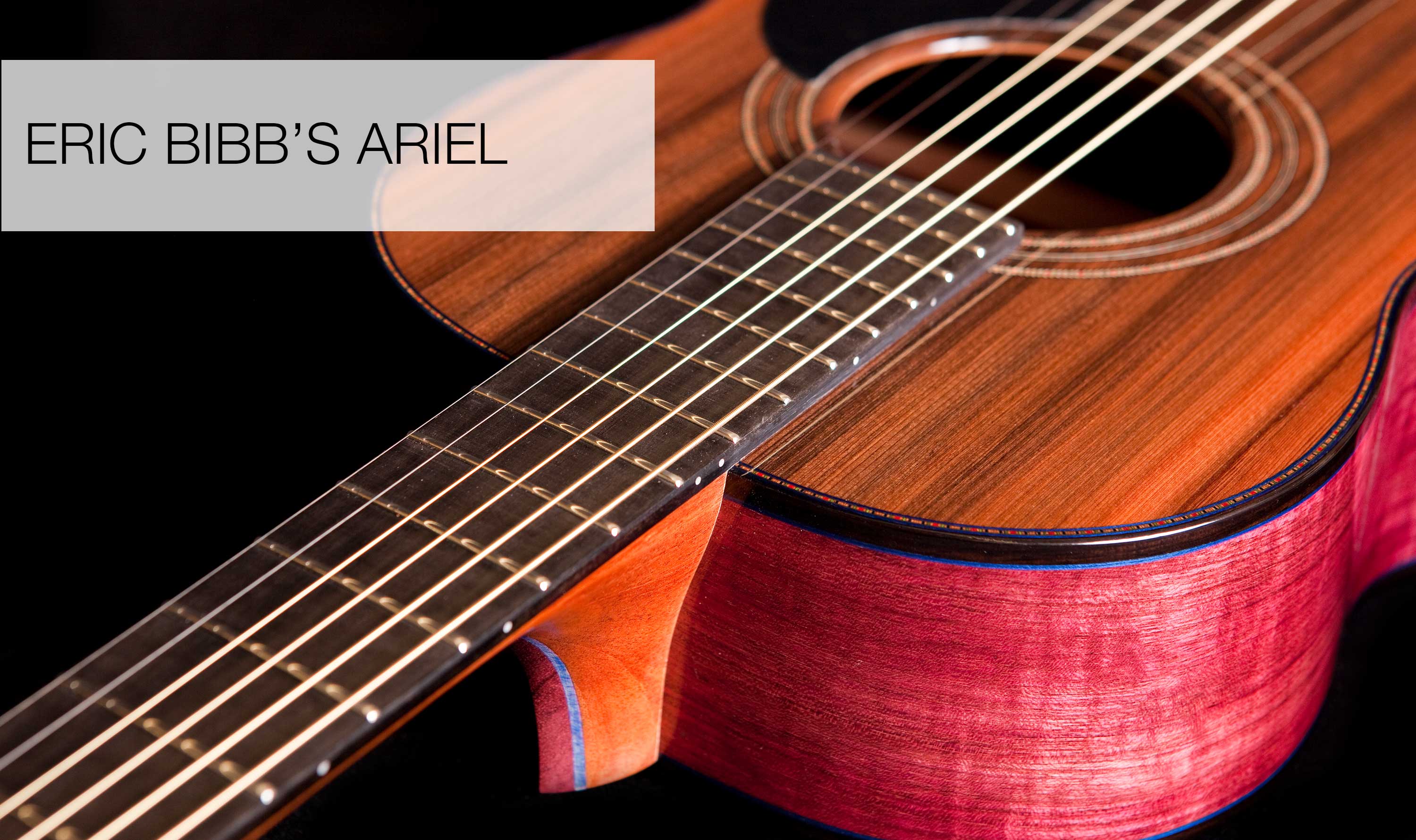 Custom Guitars | Eric Bibb's Ariel | Fylde Guitars