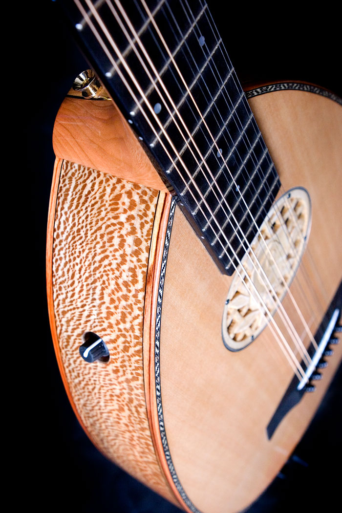 Custom Guitars | Ritchie Blackmore's 12-string | Fylde Guitars