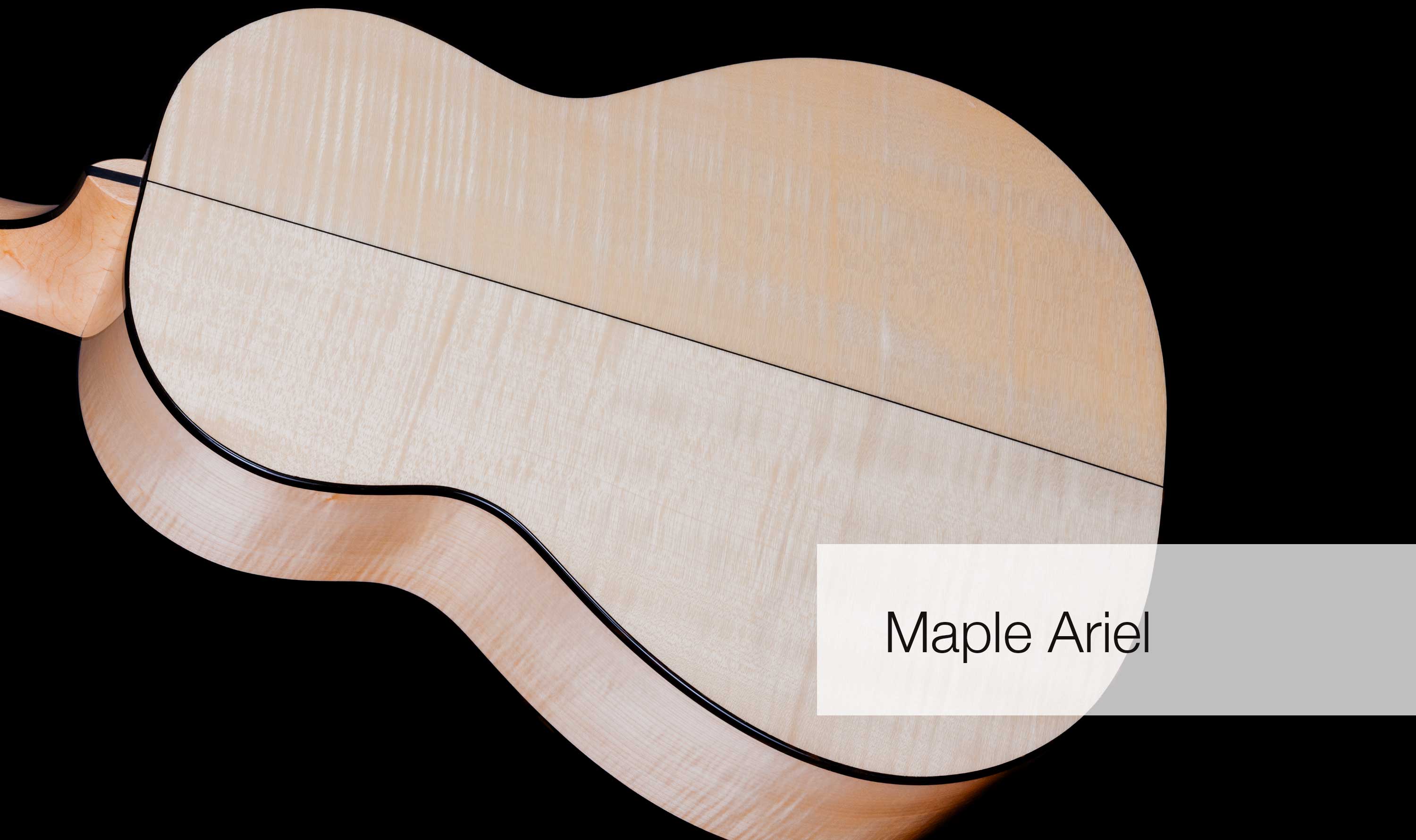 Welcome to Fylde Guitars Newsletter