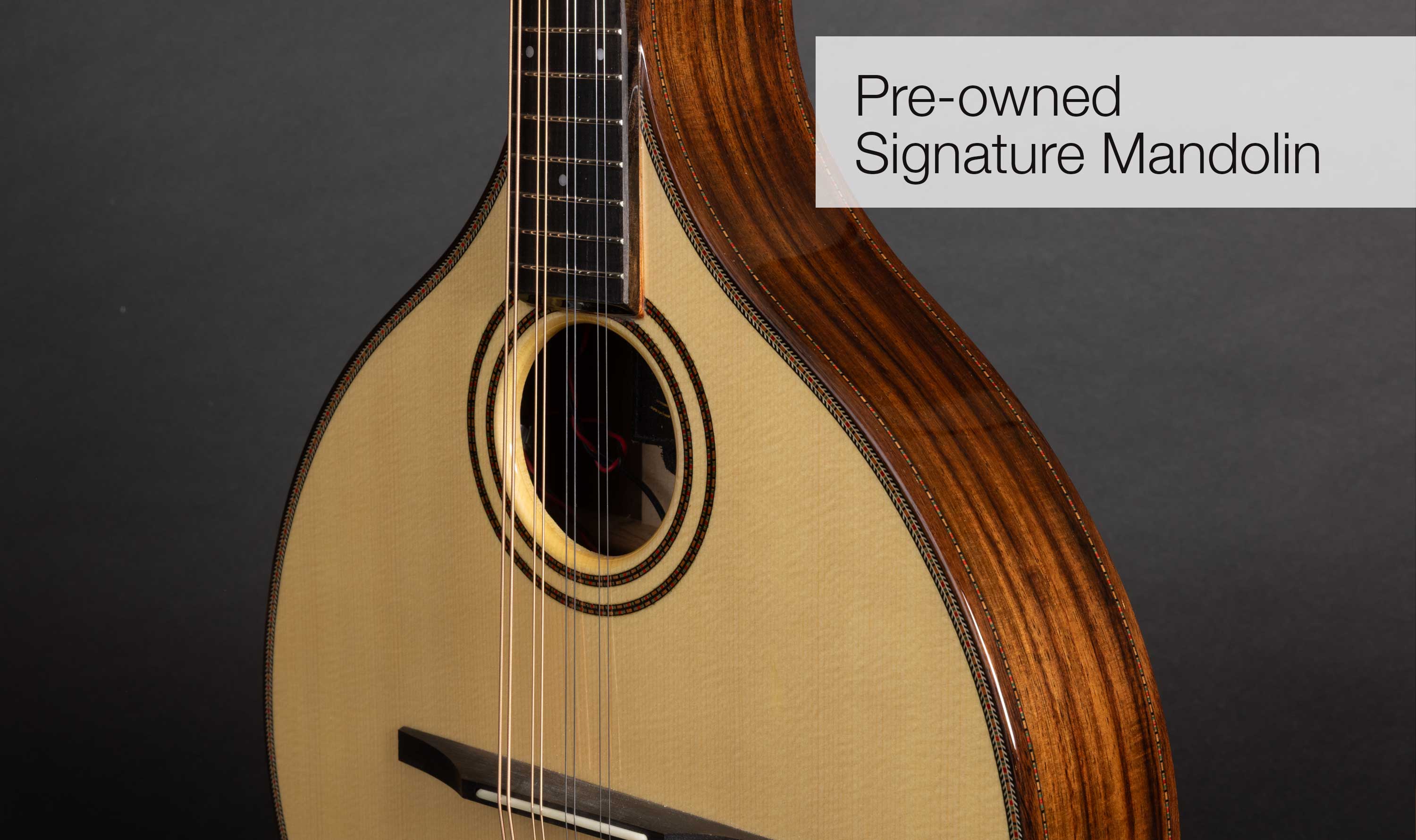 Pre-owned Signature Mandolin for Sale.