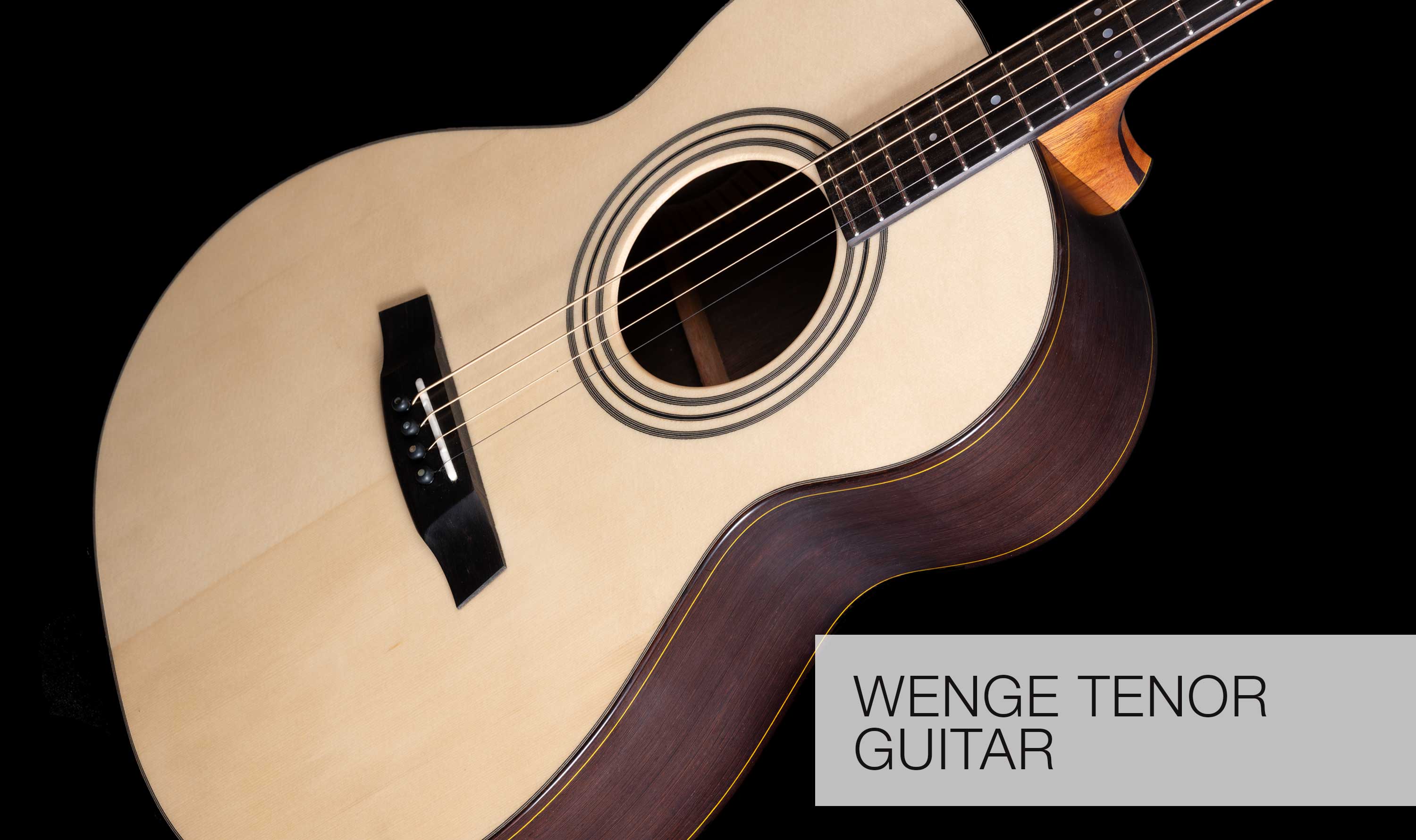 Welcome to Fylde Guitars Newsletter