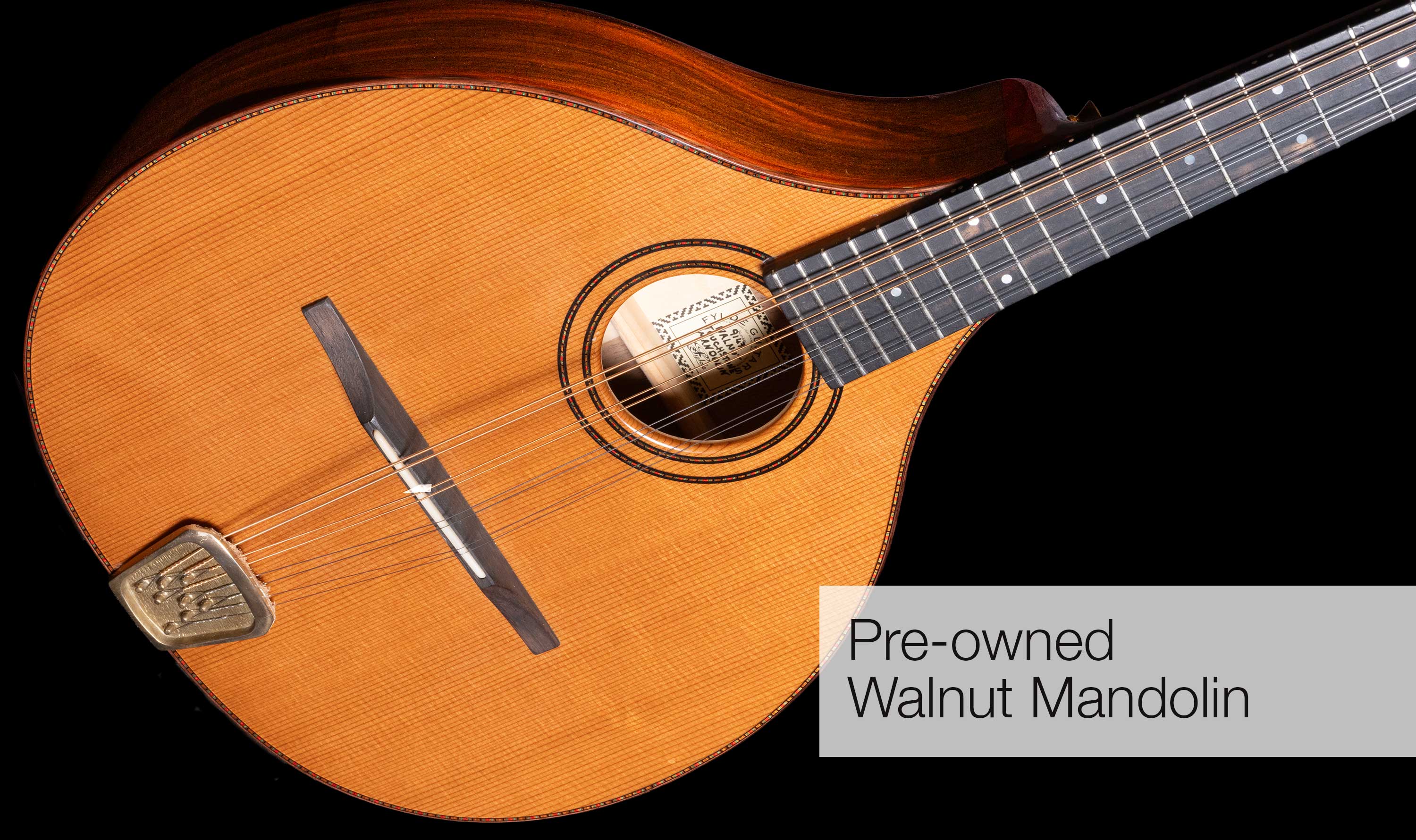 Welcome to Fylde Guitars Newsletter