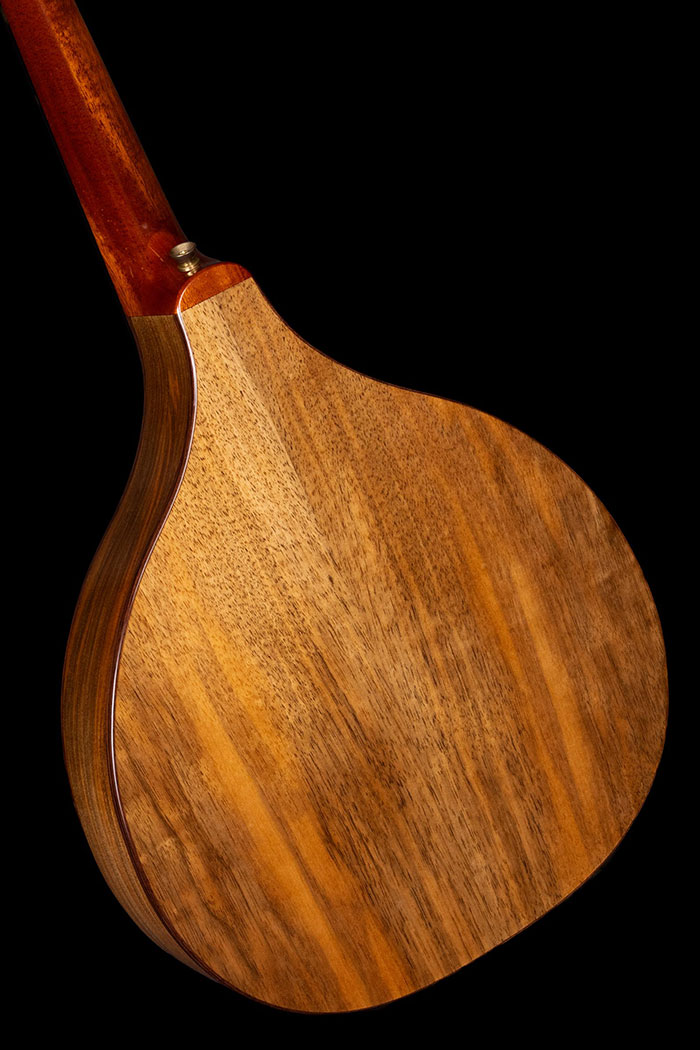 Welcome to Fylde Guitars Newsletter