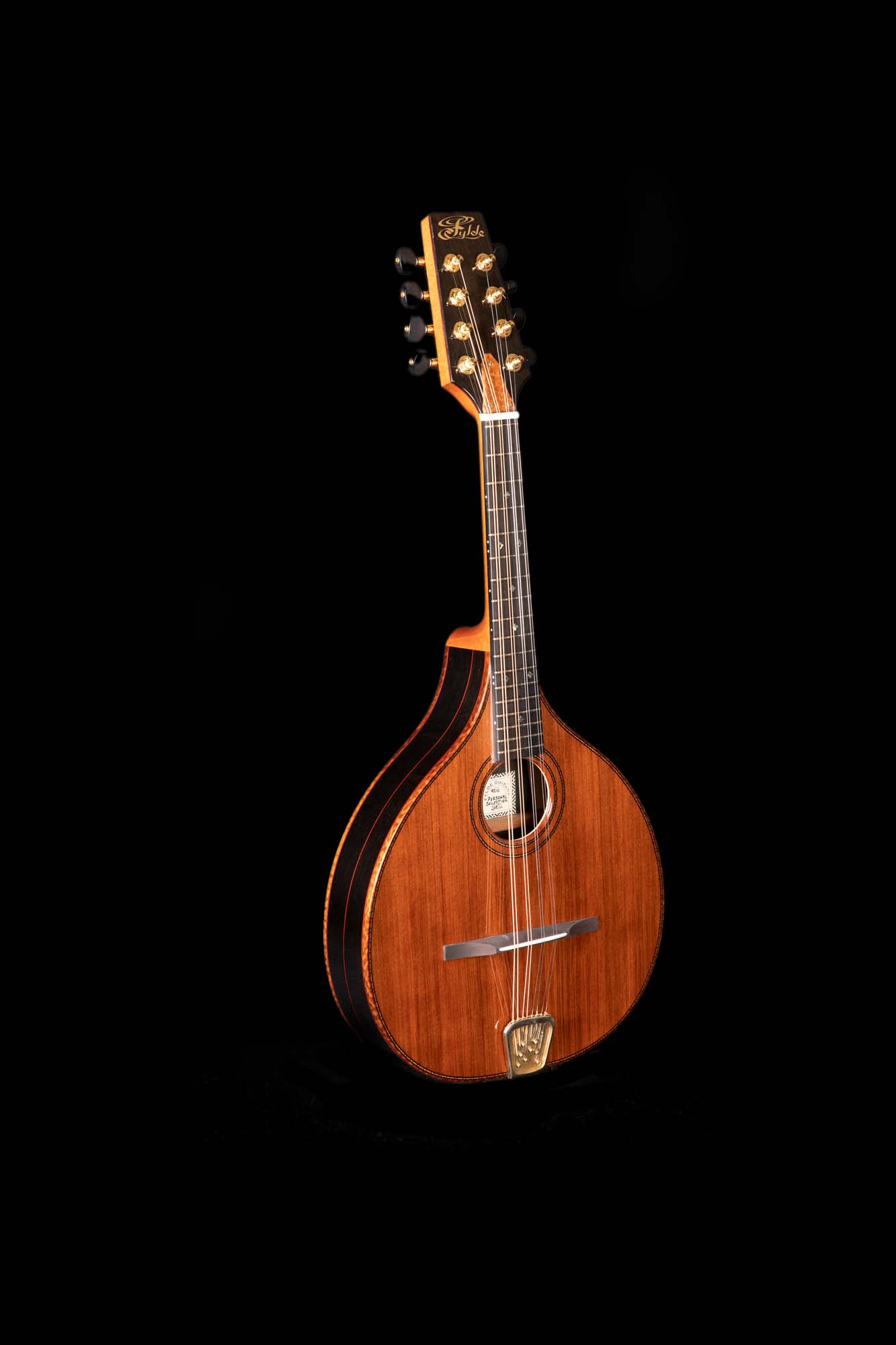 Welcome to Fylde Guitars Newsletter