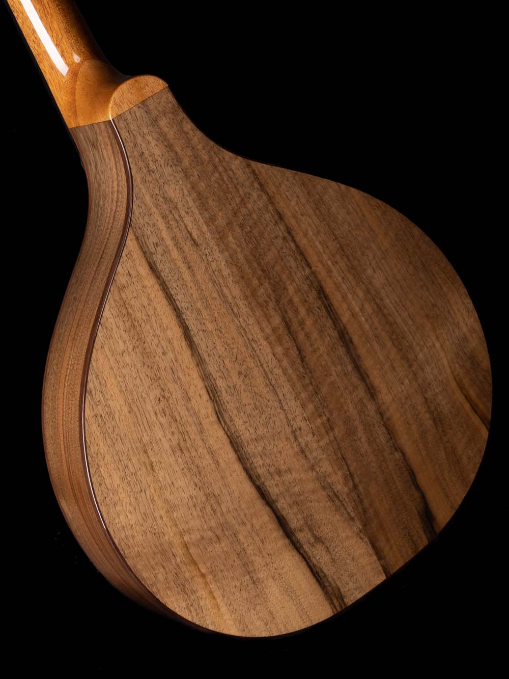 Welcome to Fylde Guitars Newsletter