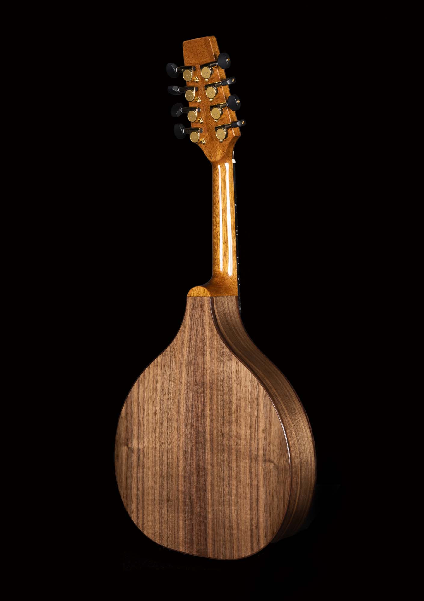 Welcome to Fylde Guitars Newsletter