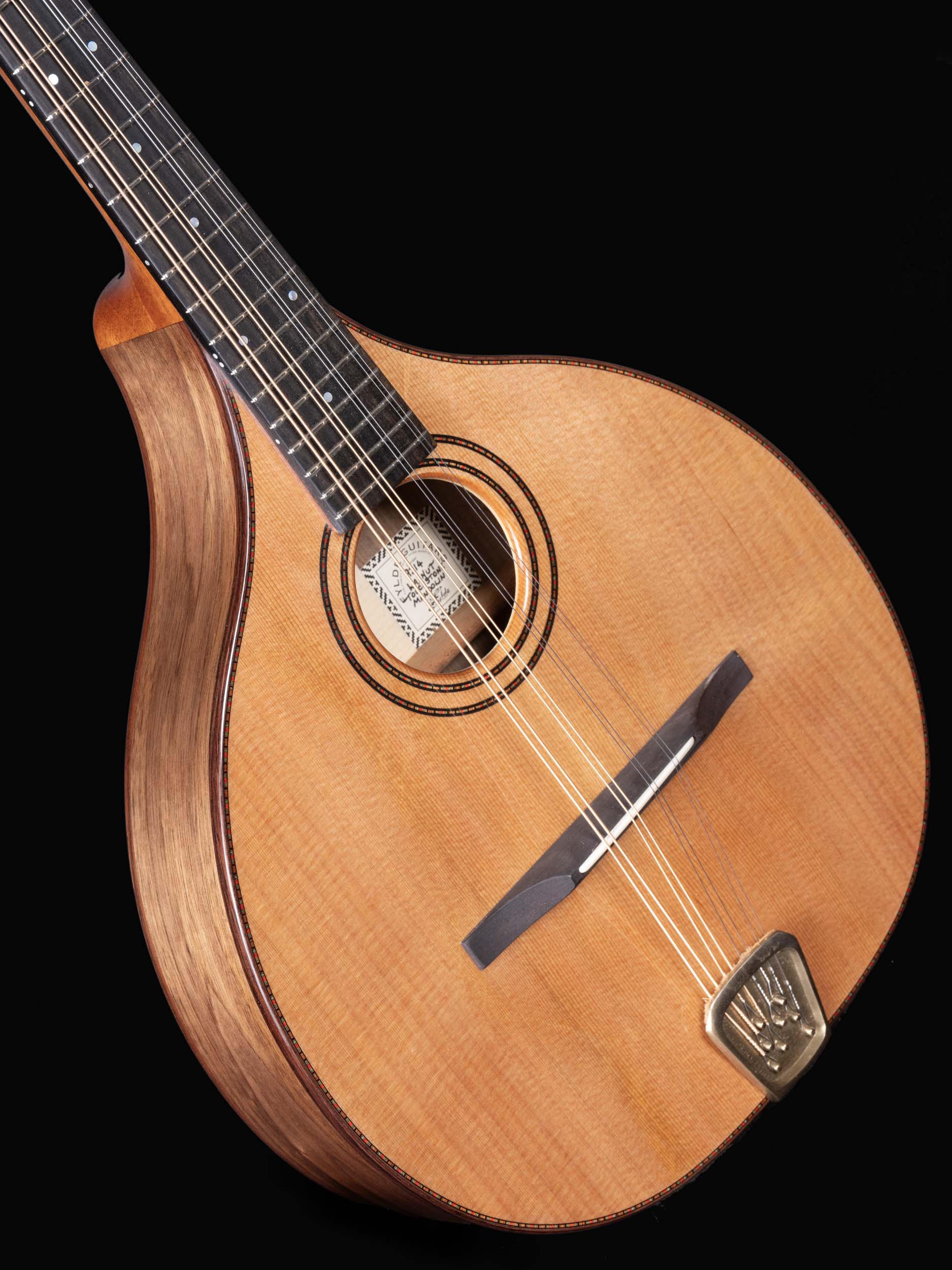 Welcome to Fylde Guitars Newsletter