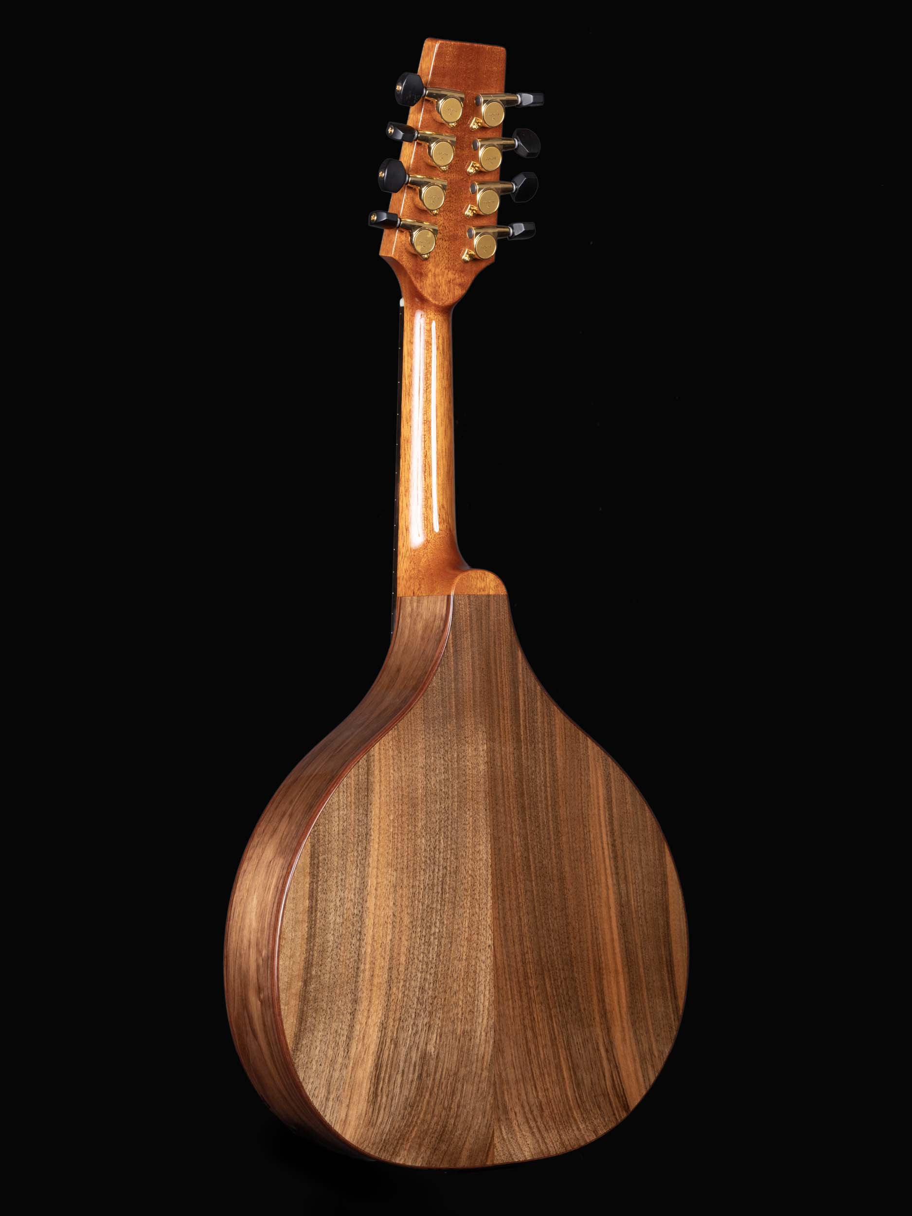 Welcome to Fylde Guitars Newsletter